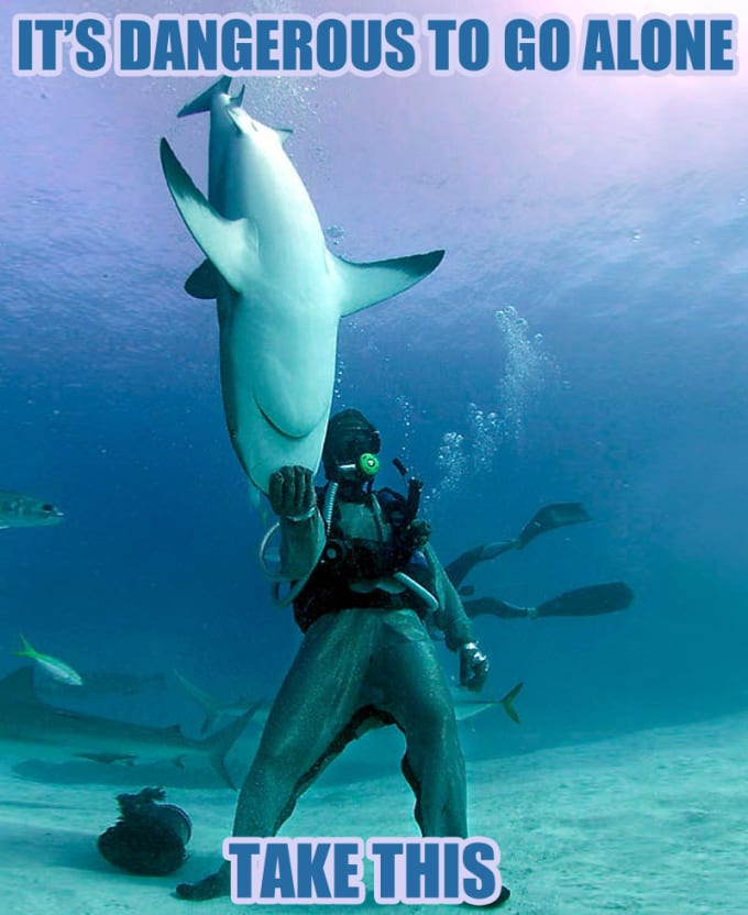 1 The 25 Funniest Shark Memes Complex