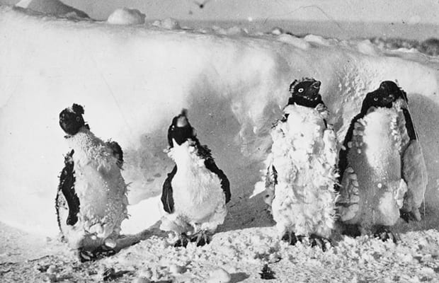 11. Antarctic Blizzard - The 50 Most Famous Snow Storm Photographs ... 11. Antarctic Blizzard - The 50 Most Famous Snow Storm Photographs ...