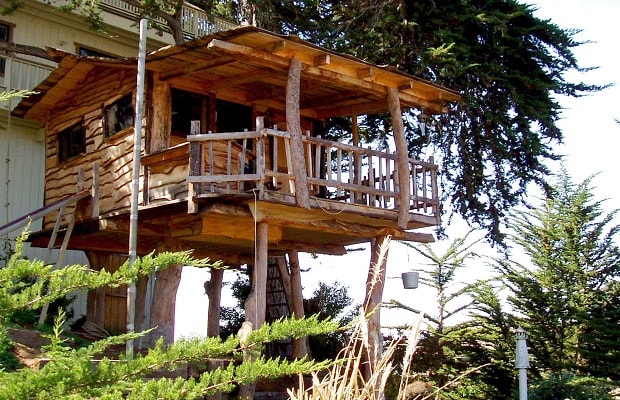 In A Treehouse 50 Places To Have Sex Before You Die Complex 