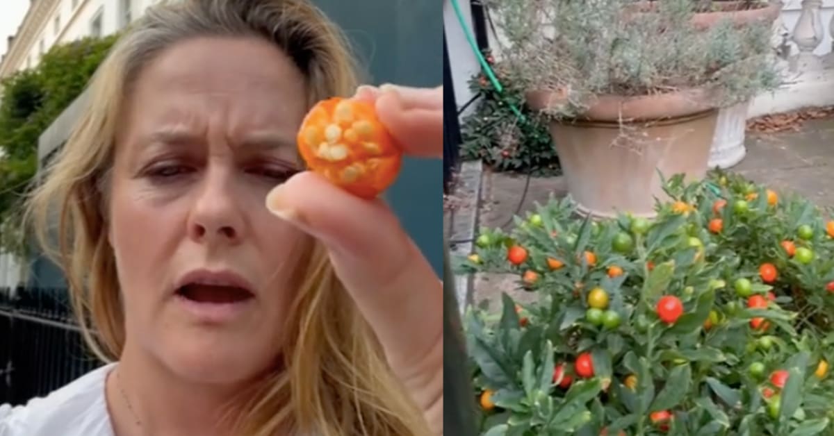 Alicia Silverstone Raises Eyebrows After Biting Into Potentially ...