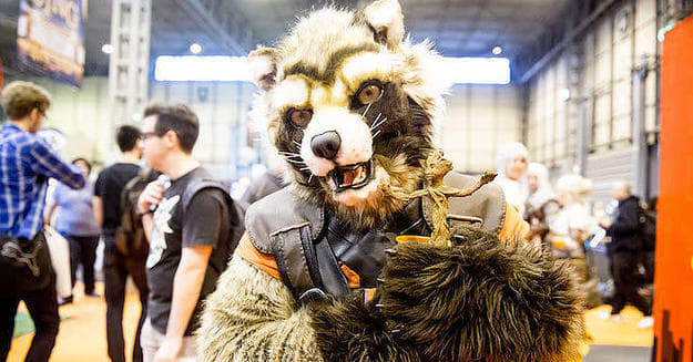 'Guardians of the Galaxy' Real-Life Model, Oreo the Raccoon Has Passed Away