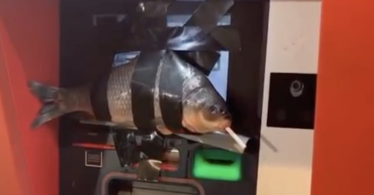 ‘Free the Fish Bandit’ Cries Ring Out After Teen Arrested...