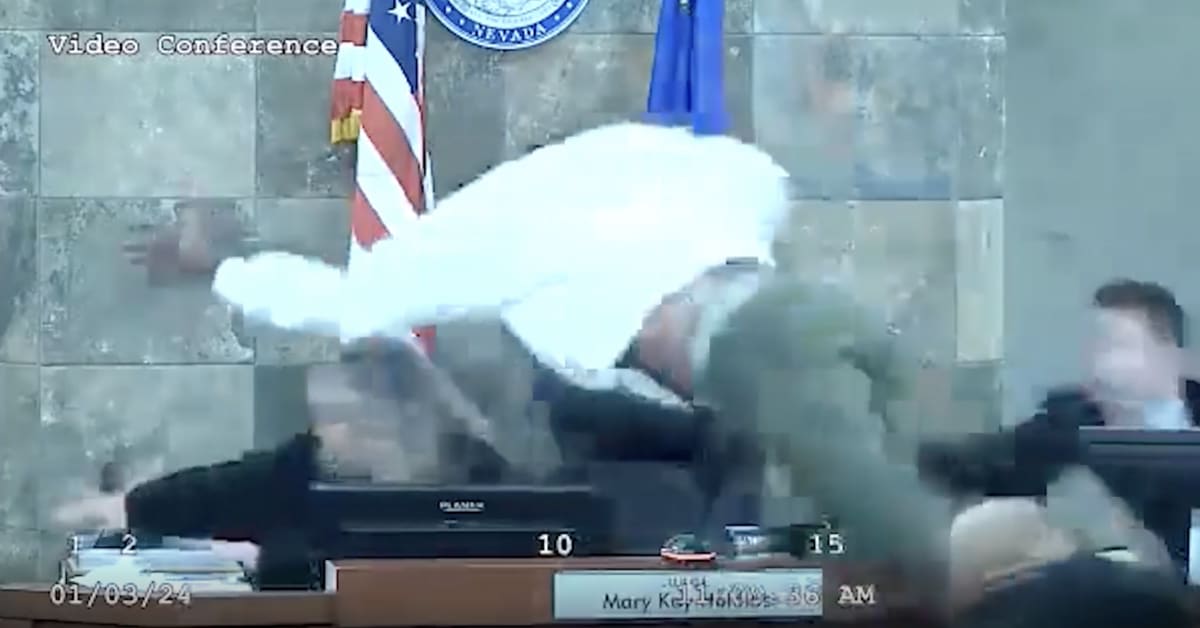 Absolutely Wild Video Shows Felon Assaulting Judge in Fly...
