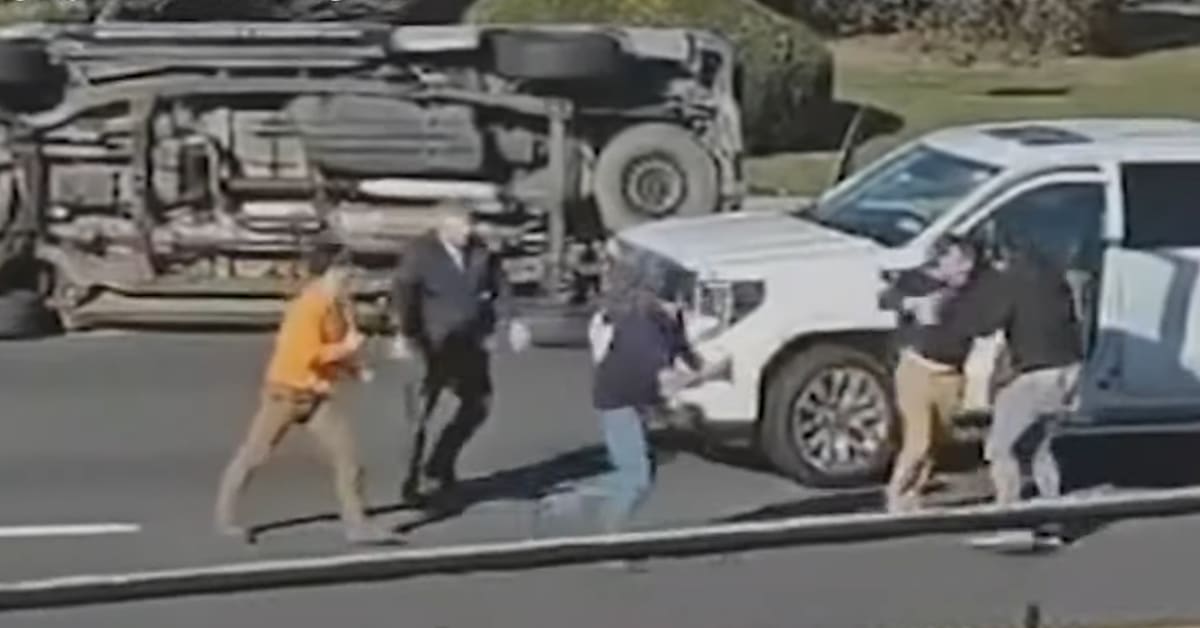 Wild Video Shows All-Out Brawl on Road Following Car Cras...