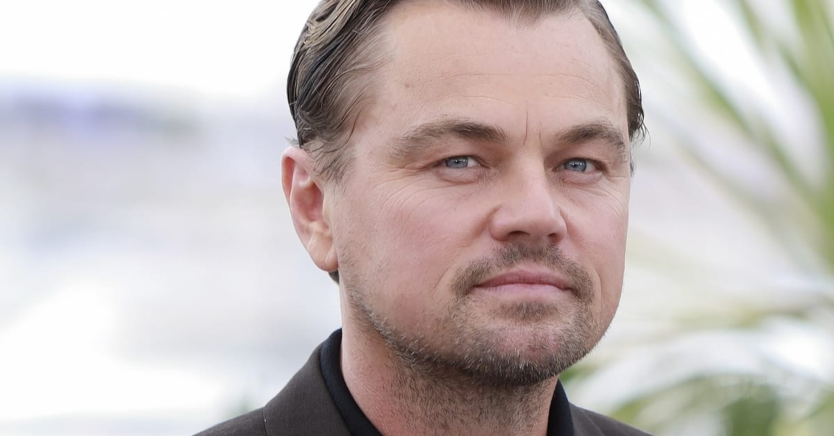 Leonardo DiCaprio's Rumored Girlfriend Vittoria Ceretti G...