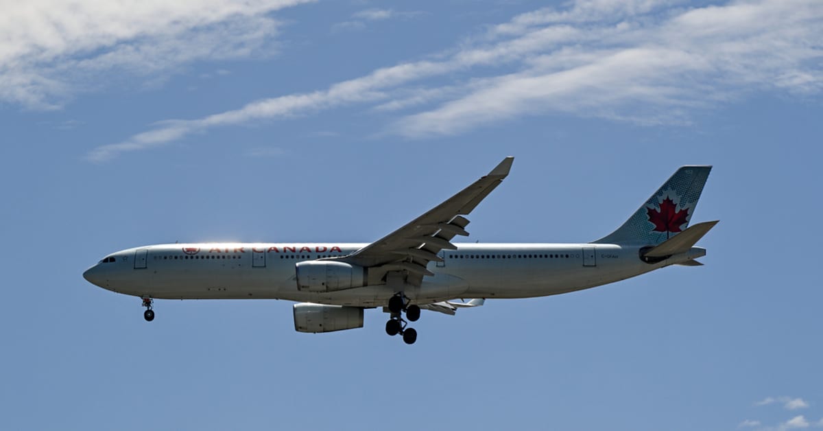 "Disruptive" Passenger Removed From Plane Kicked And Scre...