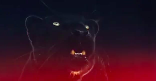 Watch the Trailer for The Weeknd's Upcoming Film 'Mania'