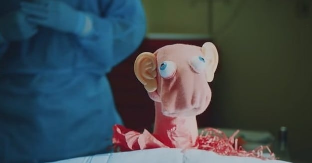 Premiere: Tiger Monkey Shares Visuals For "Zooby Doo", Th...