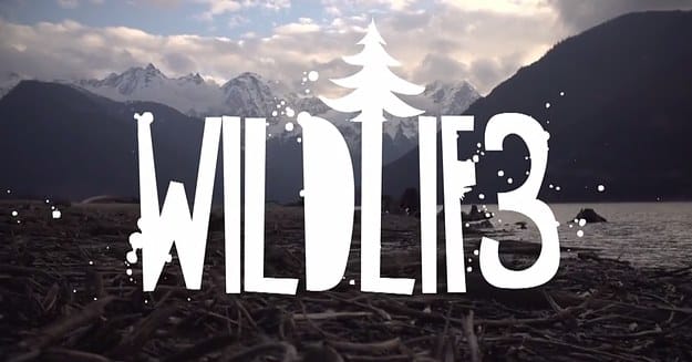 Premiere: Watch Def3’s “Wildlif3” Video