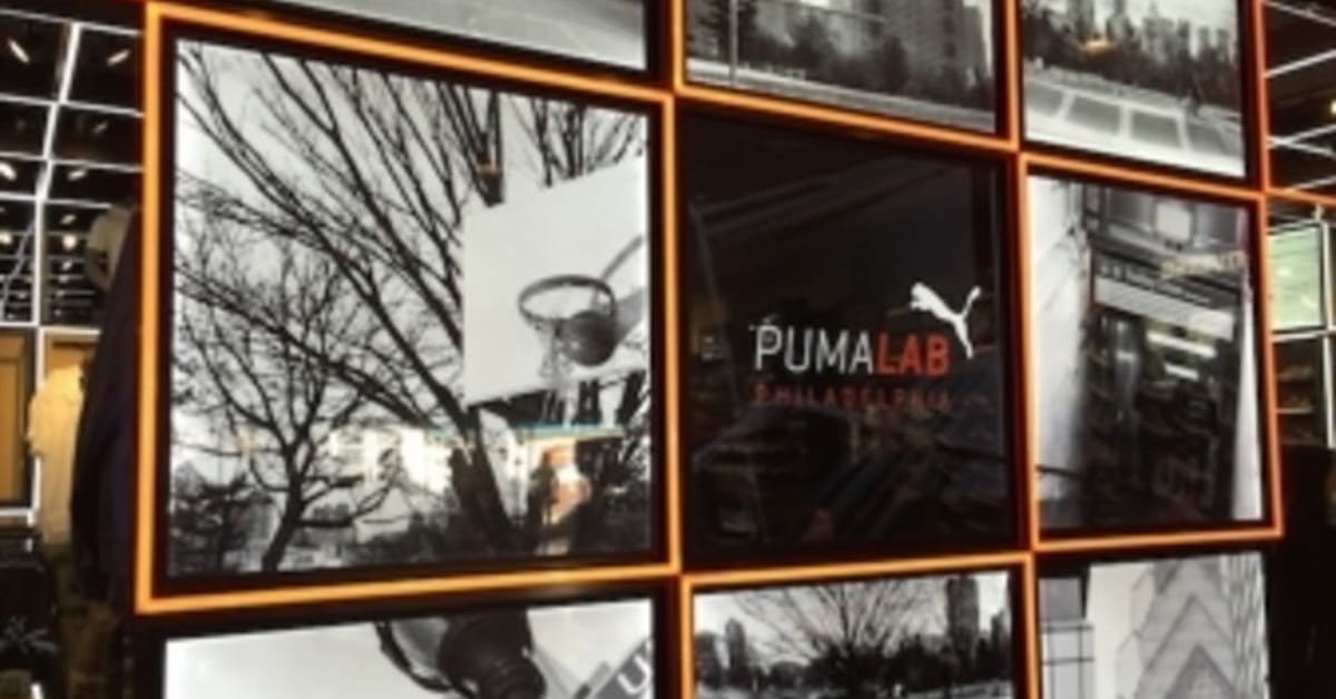 What Is the Deal With the Puma Lab?