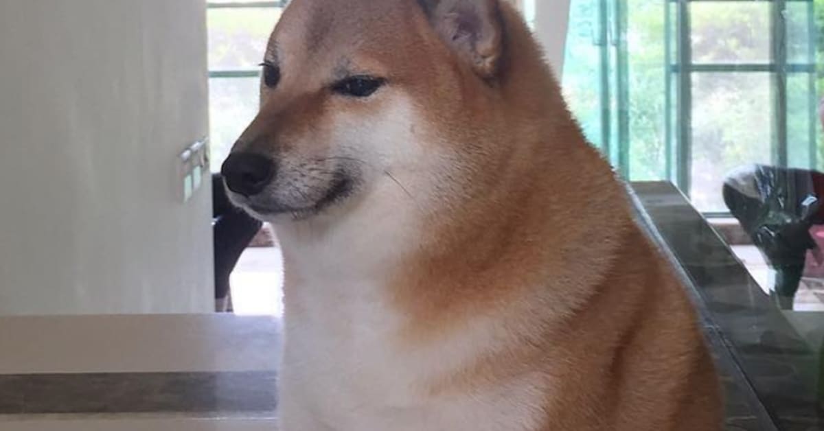 Cheems, the ‘Dogecoin’ Meme Dog, Has Passed Away