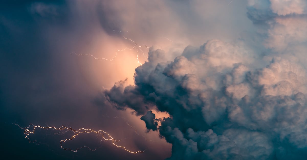 Lightning Strike Kills Over 30 Cows at Alabama Farm