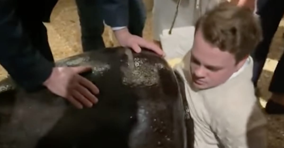 Man Who Got Stuck in Urn at New Year's Eve Party Explains How It Happened