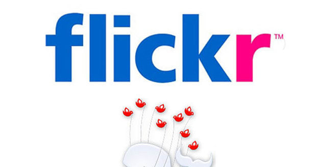 Photo Fail: Flickr Permanently Deletes Five Years Worth of User's Images