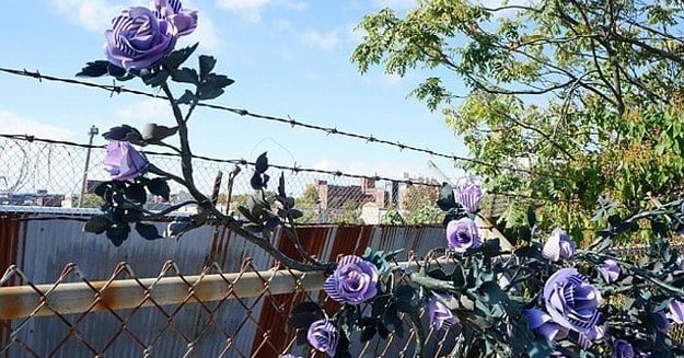A NYC Artist Formed Roses Out of Ralph Lauren Shirts and Planted Them ...