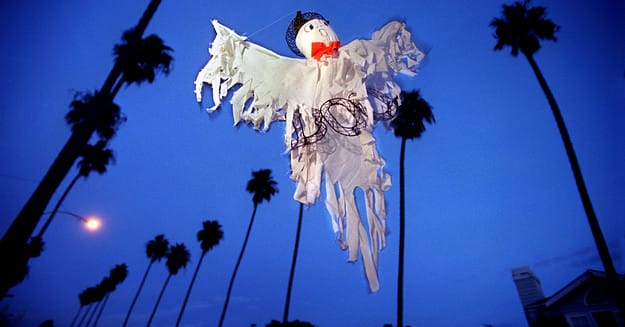 Beloved Twitter Ghost Dear David Follows His Human to Brunch, Makes IG ...