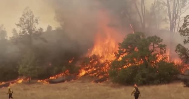 August Complex Fire Is Now Largest in California History