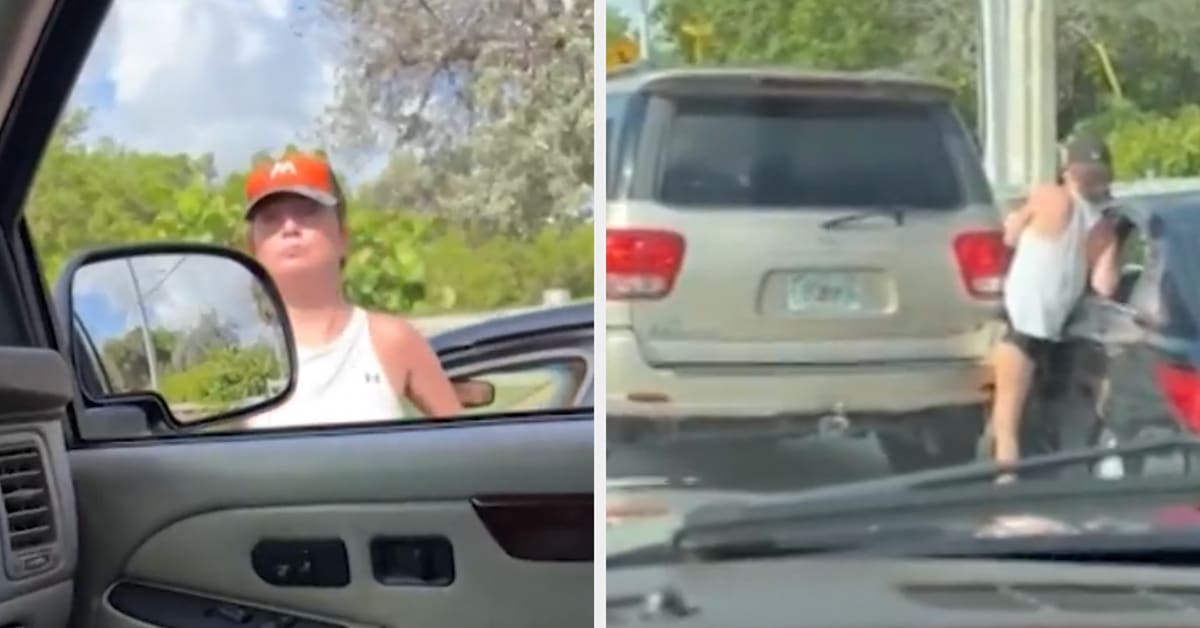Whoops: Woman With Road Rage Who Confronted Another Driver for Swerving ...