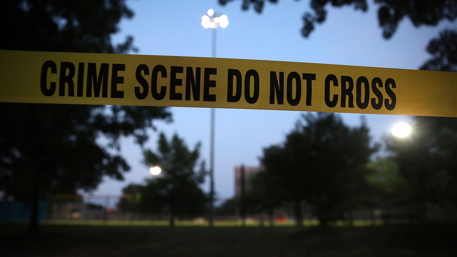 Seven Children Charged for Viral Chicago Attack of Mother...