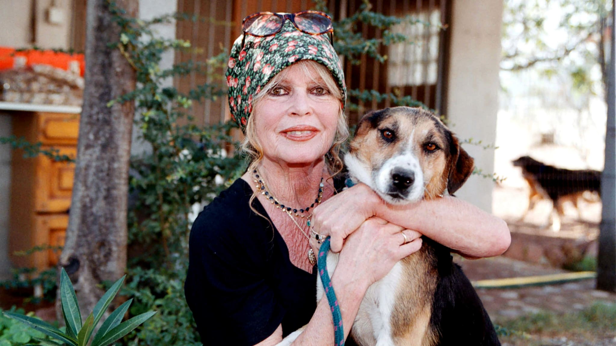 Brigitte Bardot, Actress Turned Animal Rights Activist, D...