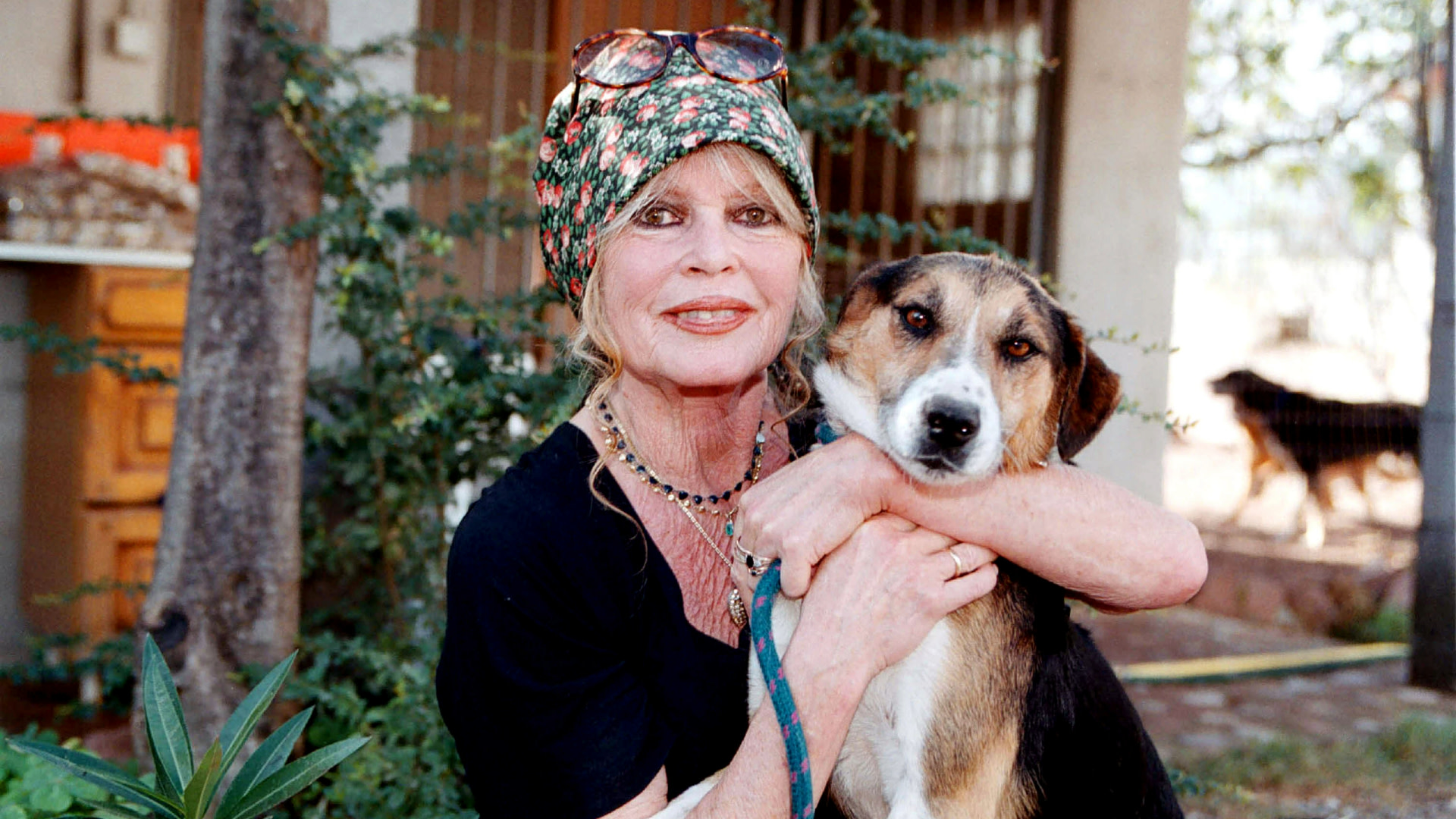 Brigitte Bardot, Actress Turned Animal Rights Activist, D...