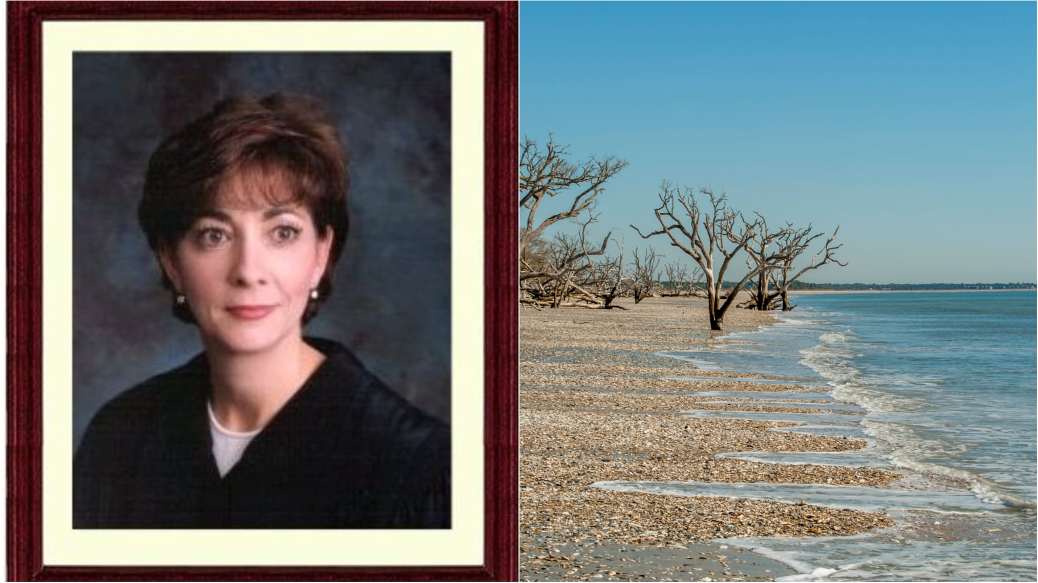 Judge Diane Goodstein's Husband Jumped From Home After 'E...