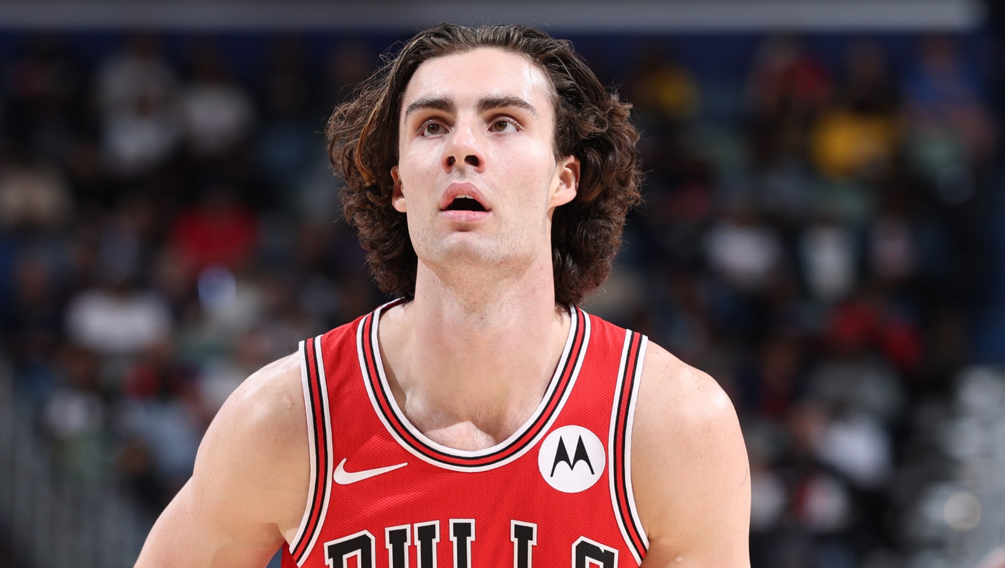 Hornets Fan Ejected After Heated Courtside Clash With Jos...