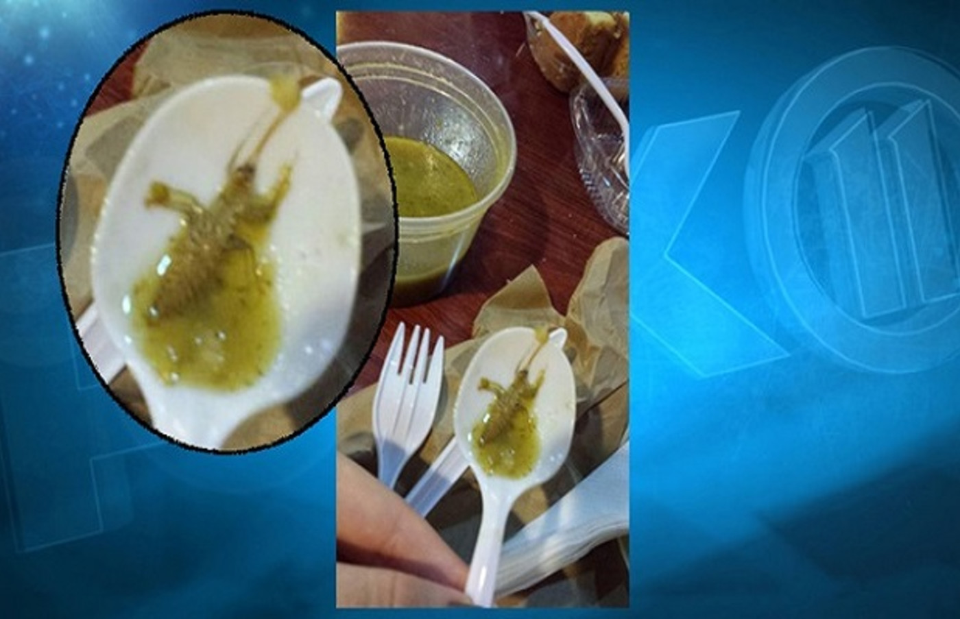 Woman Discovers Huge Bug in Soup at Queens Restaurant | Complex