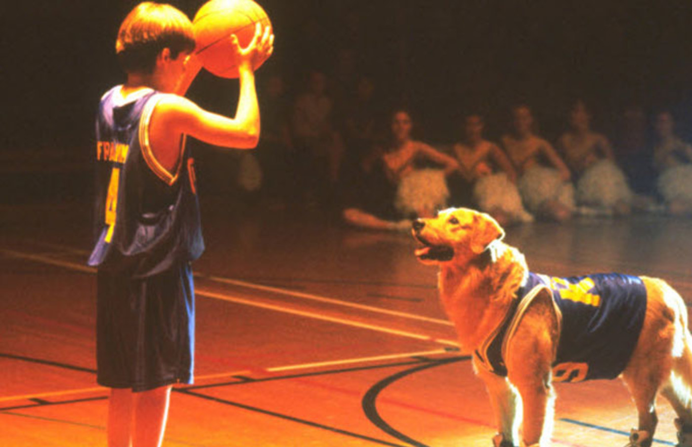 Air Bud Sports Ranked | Complex