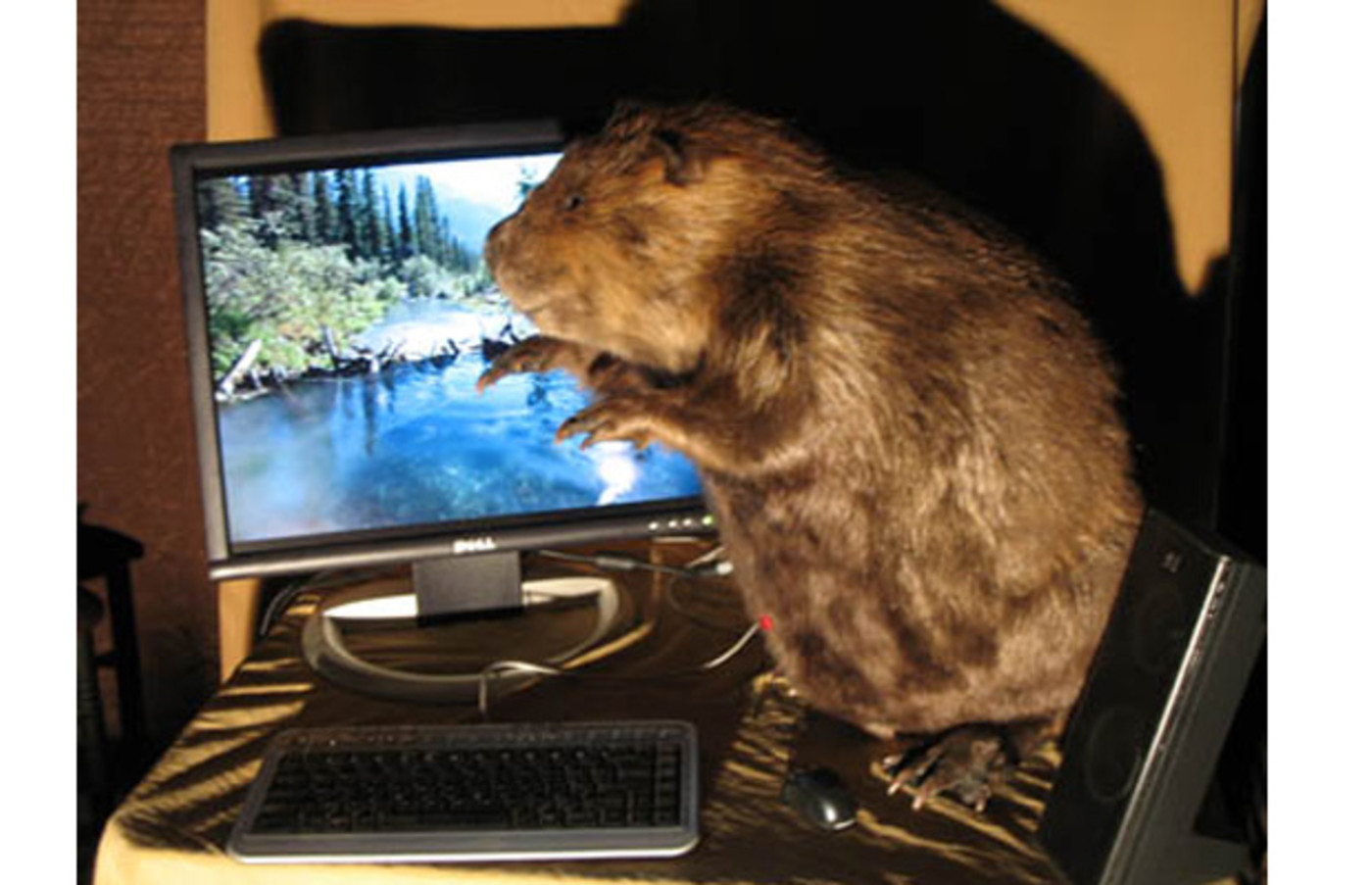 20 Ridiculous Custom Computer Cases | Complex