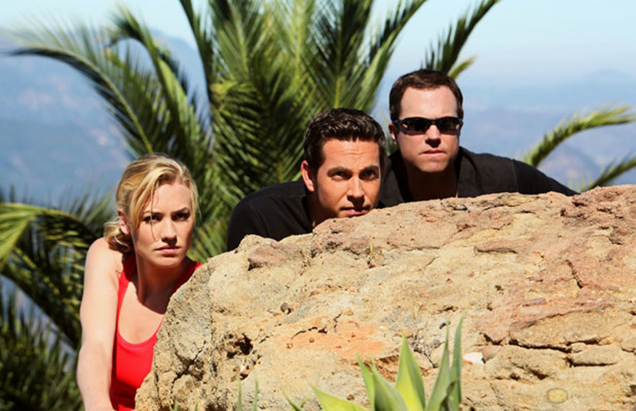 The Best And Worst Things About Chuck Complex
