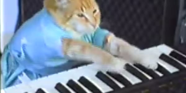 ‘Keyboard Cat’, One of YouTube’s First Stars, Just Released a New Song ...