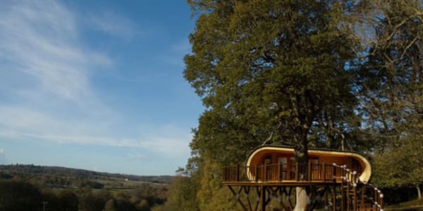 This Building Is Craze: Luxury Adult Tree House | Complex