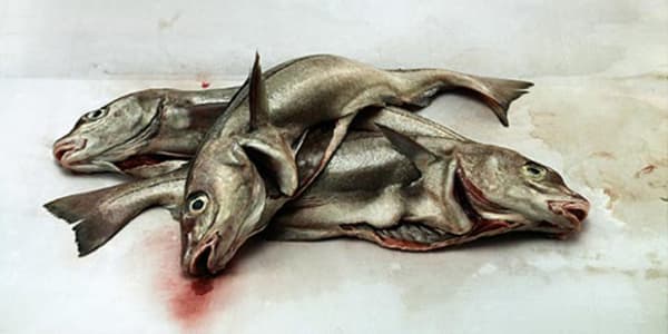 Disturbing Photos Of Dead Fish | Complex