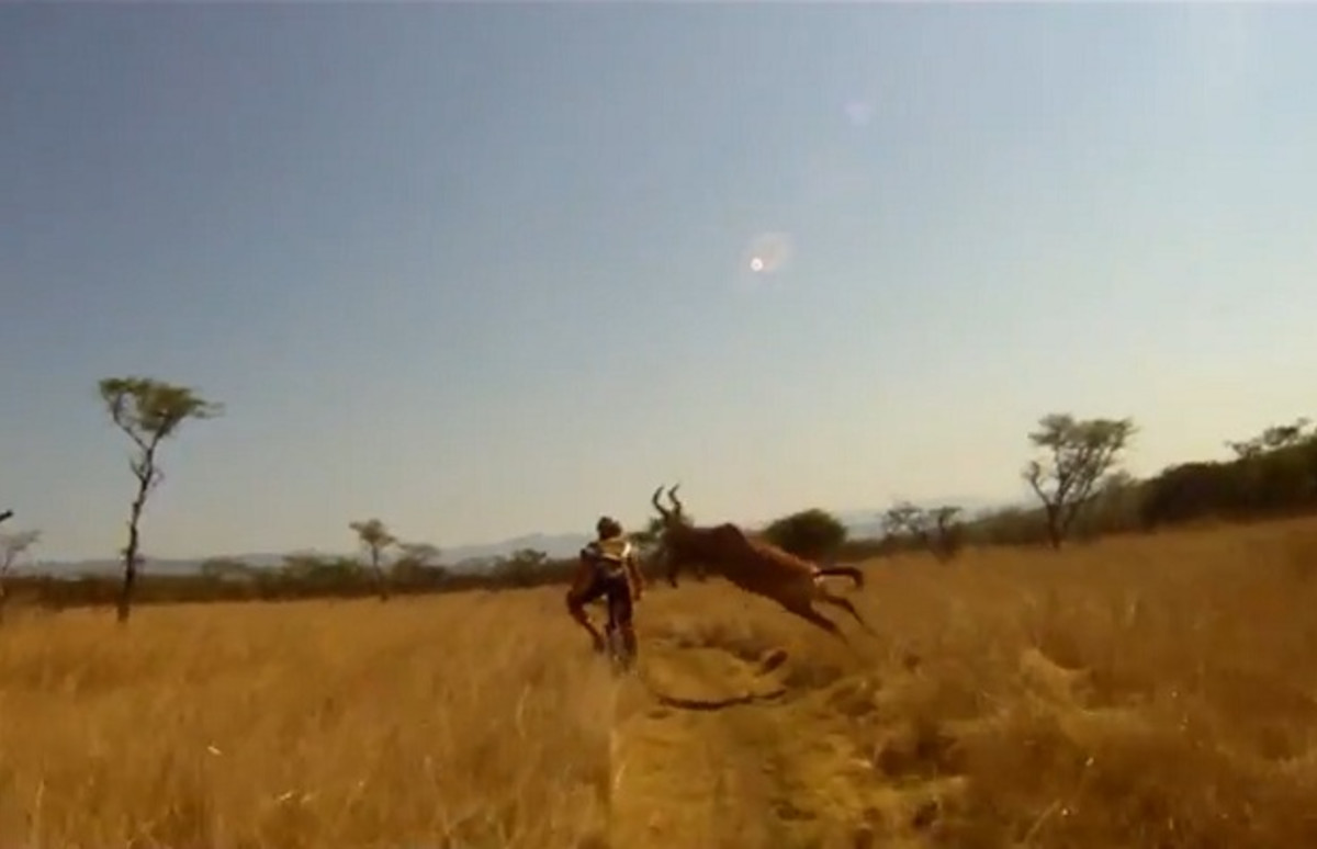 Buck Kicks Biker’s Ass | Complex