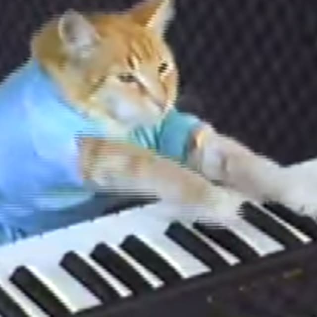 'Keyboard Cat', One of YouTube's First Stars, Just Released a New Song ...