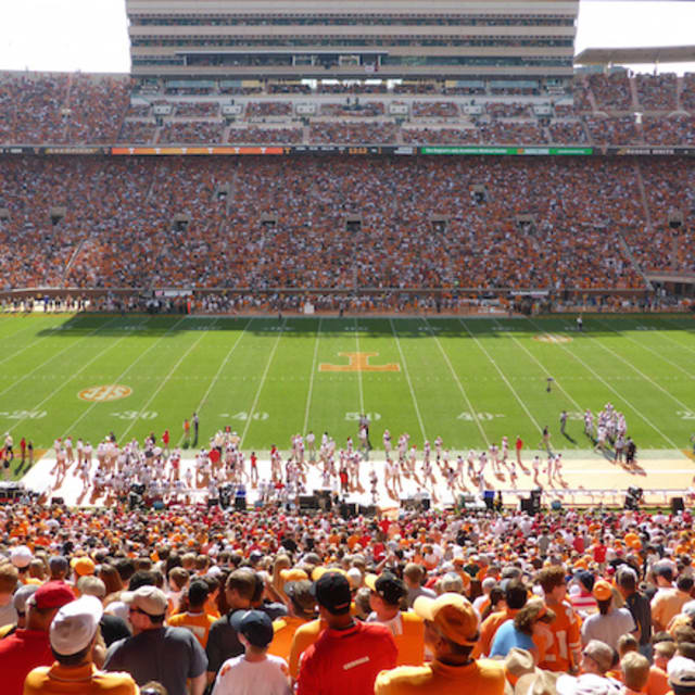 University of Tennessee Students Celebrate Valentine's Day by Having ...