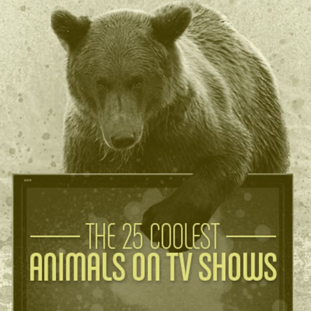The 25 Coolest Animals On TV Shows | Complex