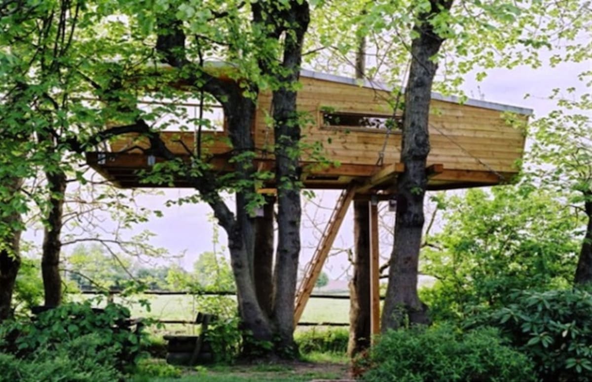 Dome Tree House - Gallery: 15 Awesome Treehouses | Complex