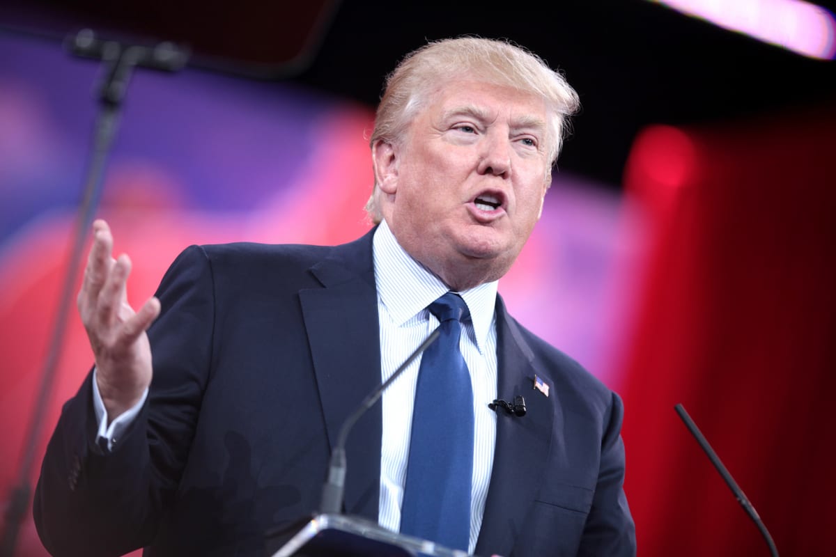 According To Grammarly Donald Trump Supporters Have The Worst Grammar Complex according-to-grammarly-donald-trump-supporters-have-the-worst-grammar-complex