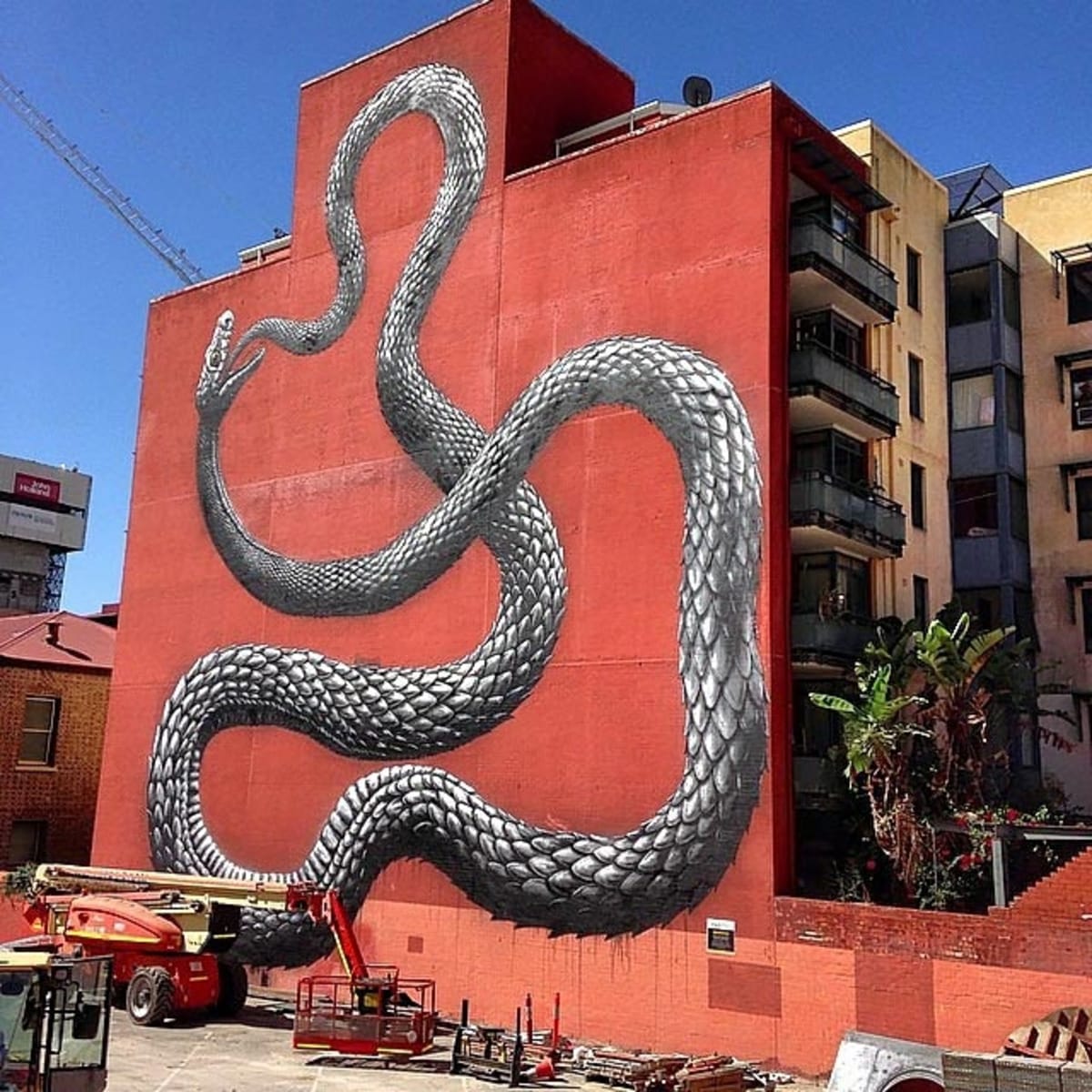 ROA Paints a Mural of Massive Deadly Snake in Australia for Public ...