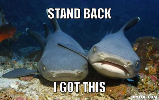 The 25 Funniest Shark Memes Complex