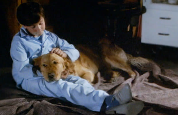 The Fly II - The 25 Most Traumatic Dog Deaths in Movies | Complex