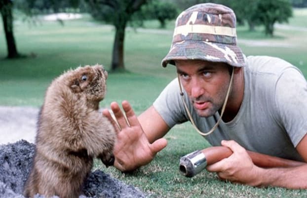 Carl Spackler - A History of the Bucket Hat | Complex