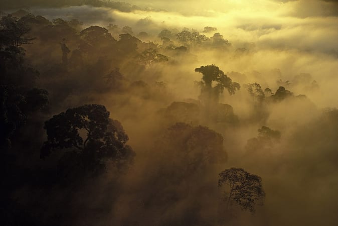 45. Frans Lanting - The 50 Most Influential Photographers of the Past ...