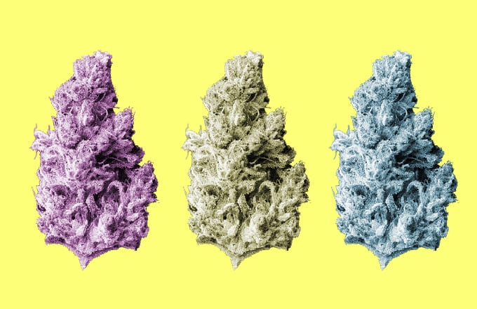 Tetrahydrocannabinol - The 15 Best Weed Strains Right Now | Complex