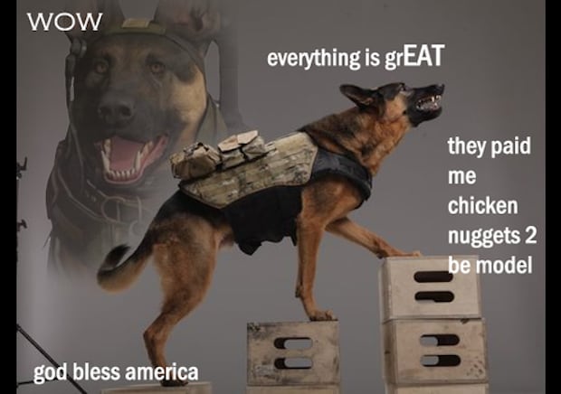 COD: Ghosts 9 - The Best "Call of Duty: Ghosts" Dog Memes of the Week ...