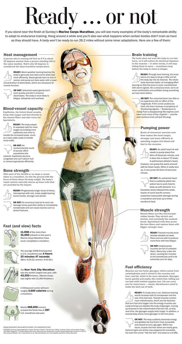 25 Running Infographics For The Everyday Runner | Complex