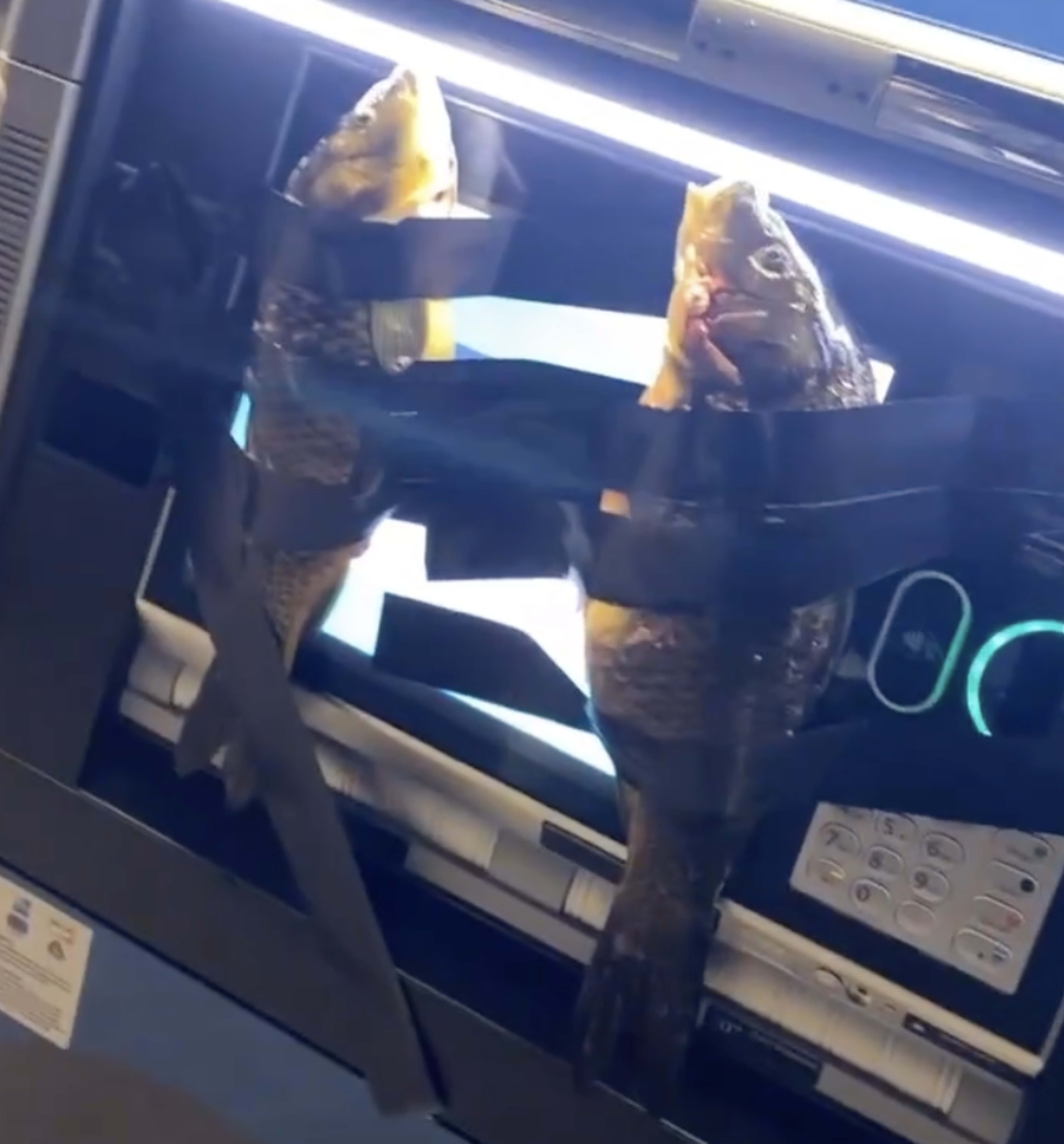 ‘Free the Fish Bandit’ Cries Ring Out After Teen Arrested for Taping ...