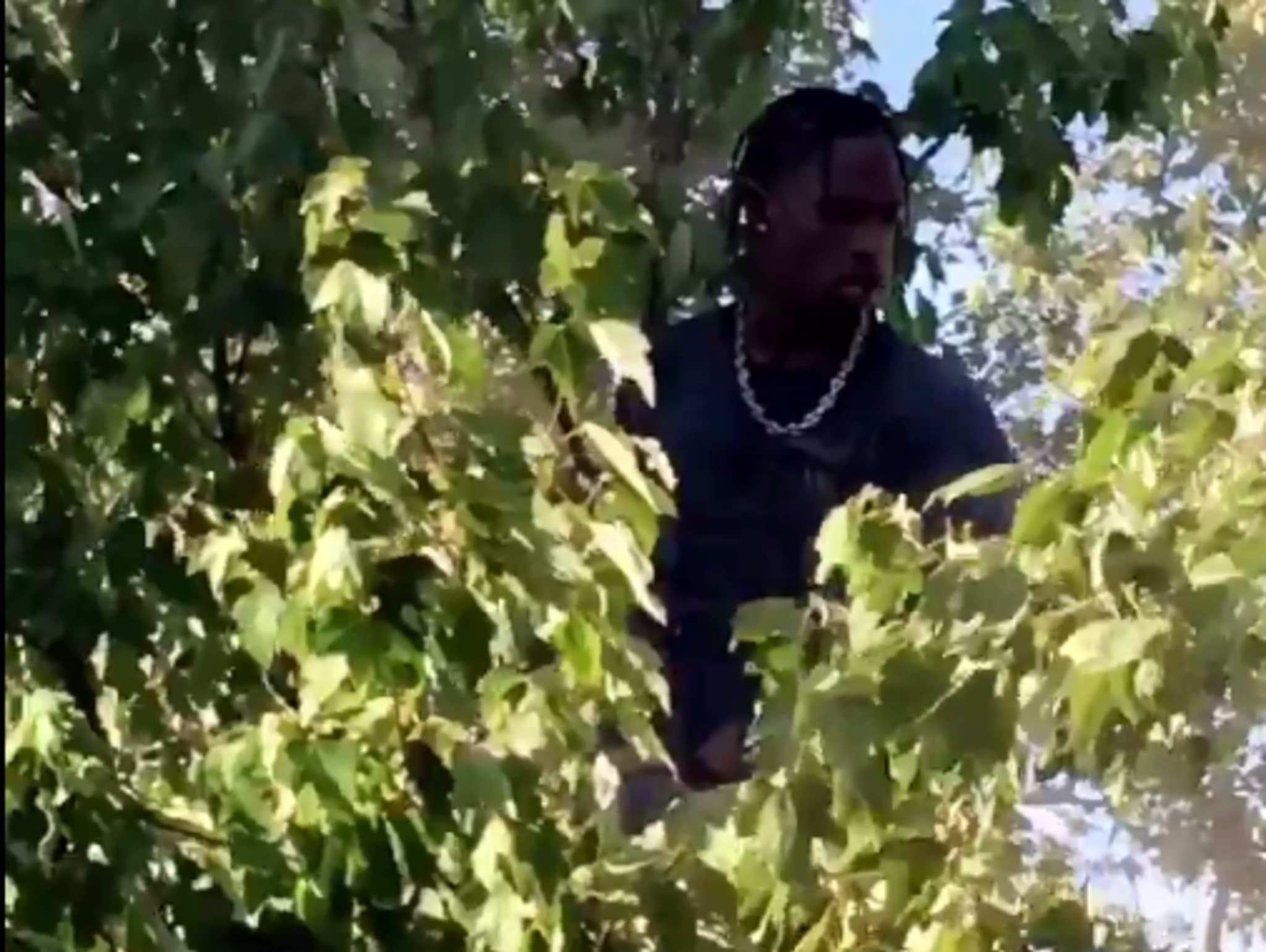 Watch Travis Scott Perform in a Tree at the Made in Ameri...